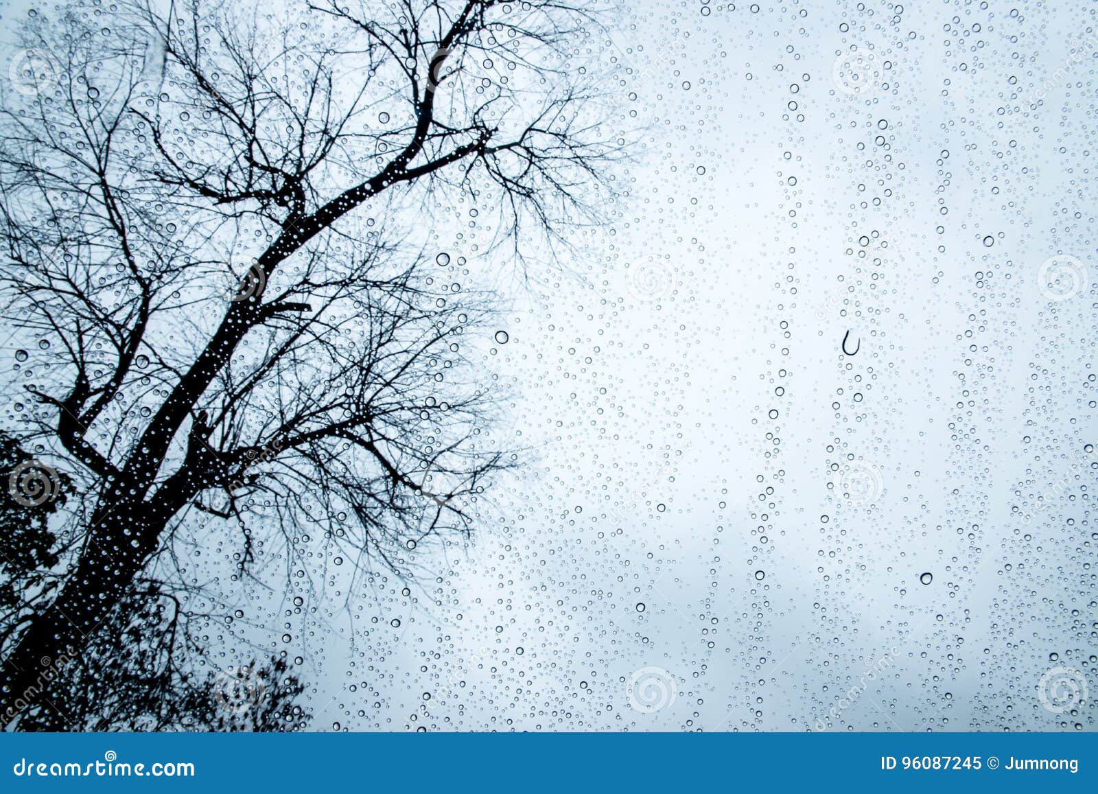 Rain on Glass Window with Dead Tree Background Stock Image - Image of ...