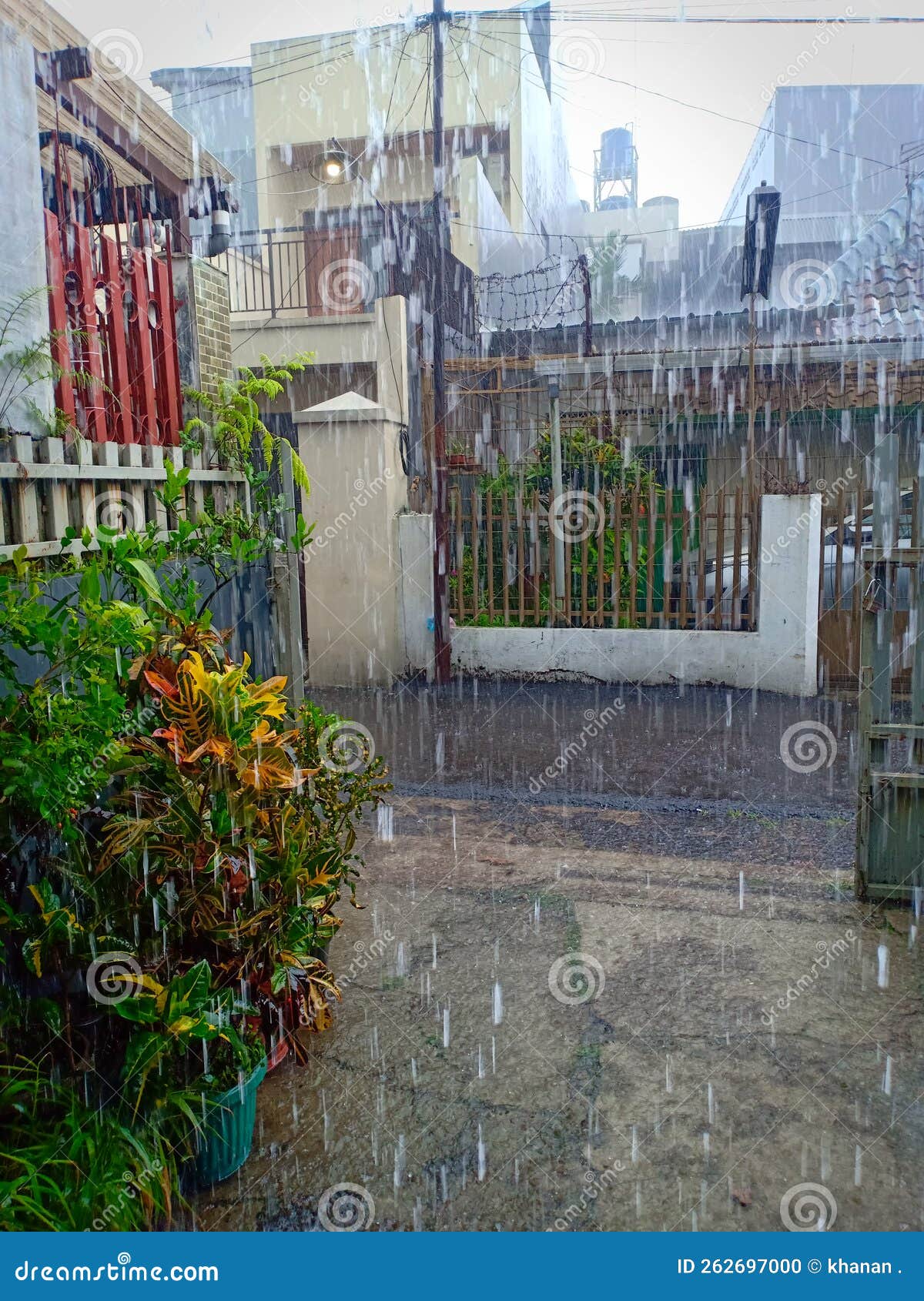 Rain is God& X27;s Grace without Rain Life Cannot Live Stock Photo ...