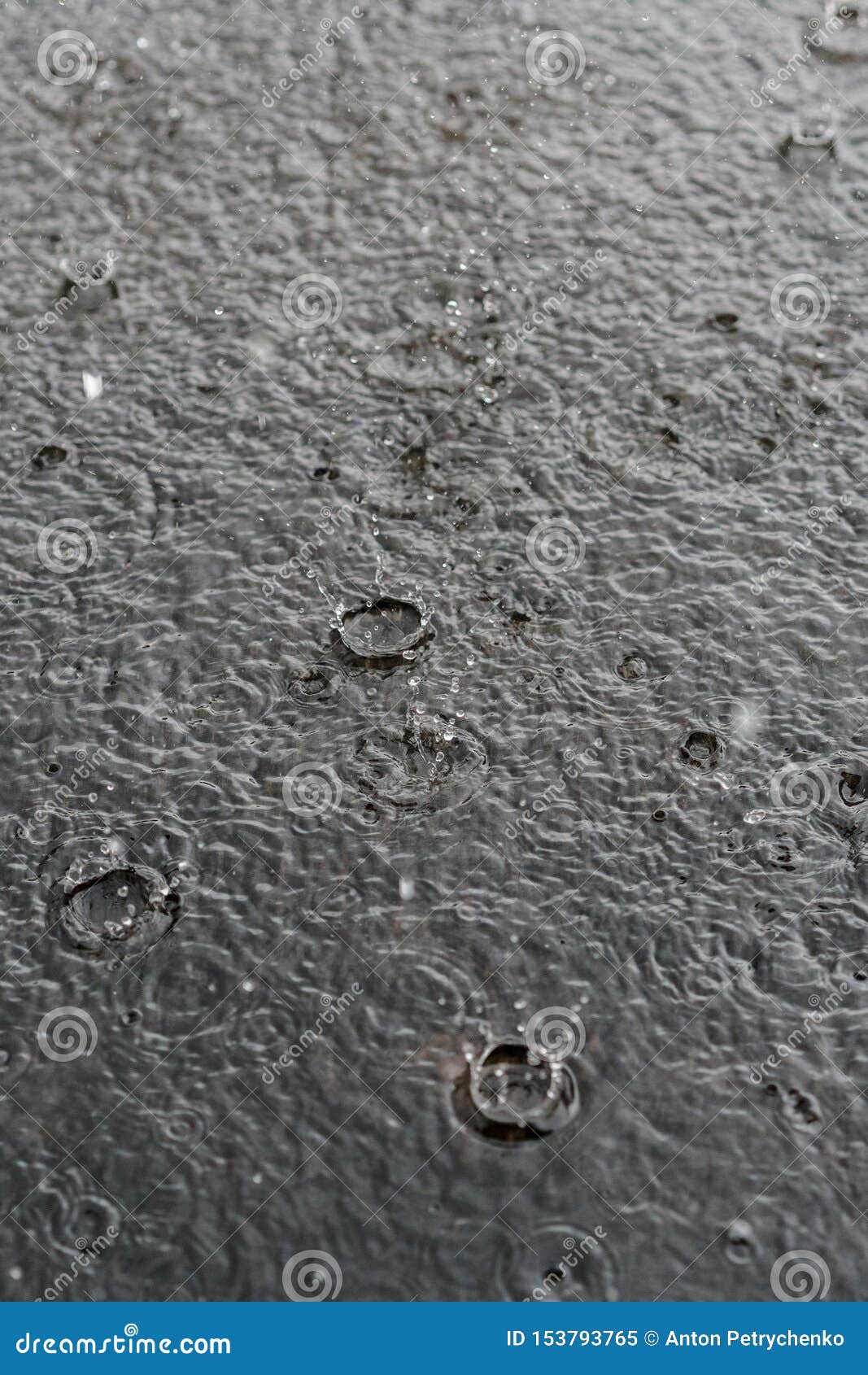 Rain Gray Background. Drops on a Puddle Stock Image - Image of climate ...