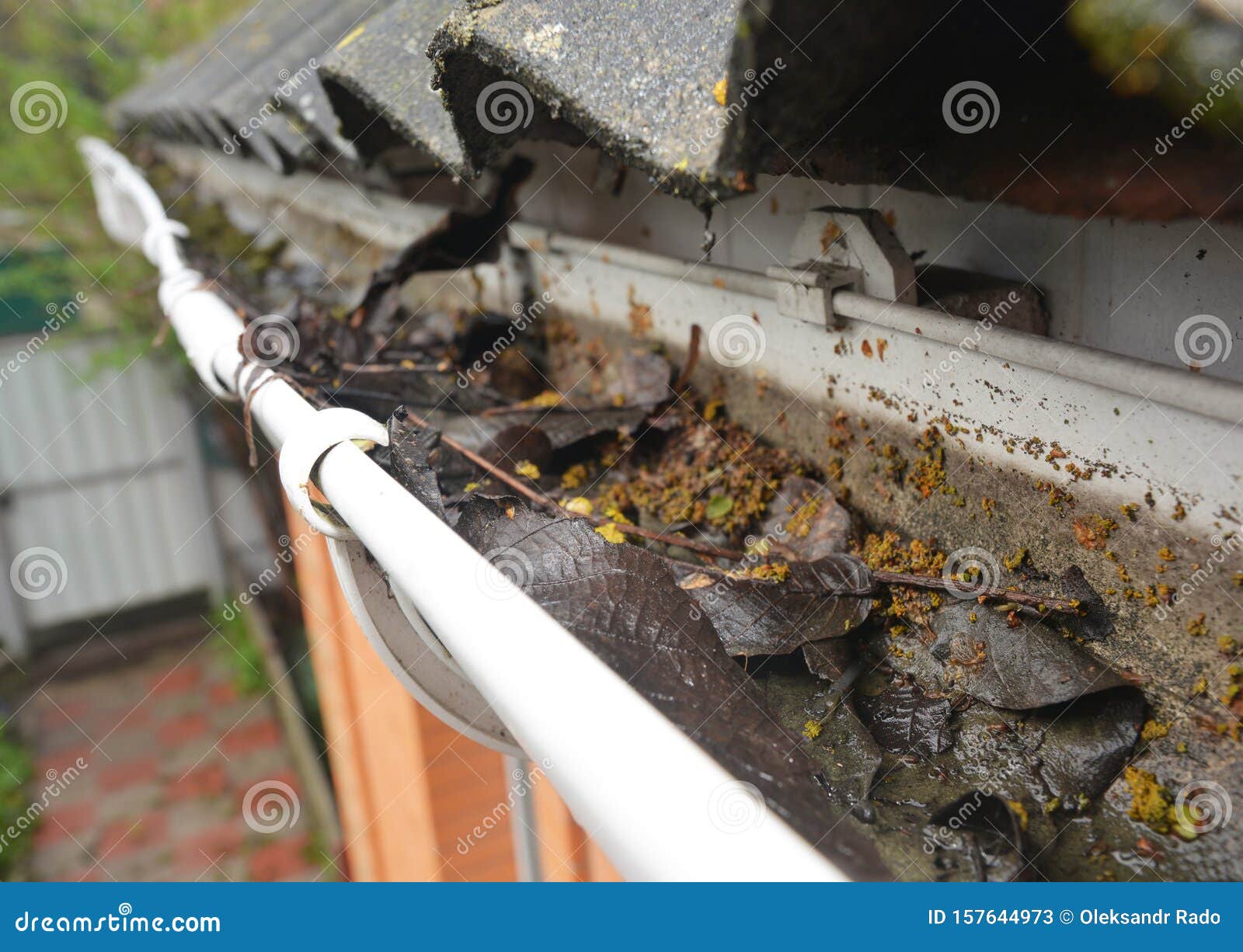 Rain Gutter Cleaning from Leaves and Dirt. Roof Gutter Drainage ... Rain Gutter Cleaning from Leaves and Dirt. Roof Gutter Drainage ...