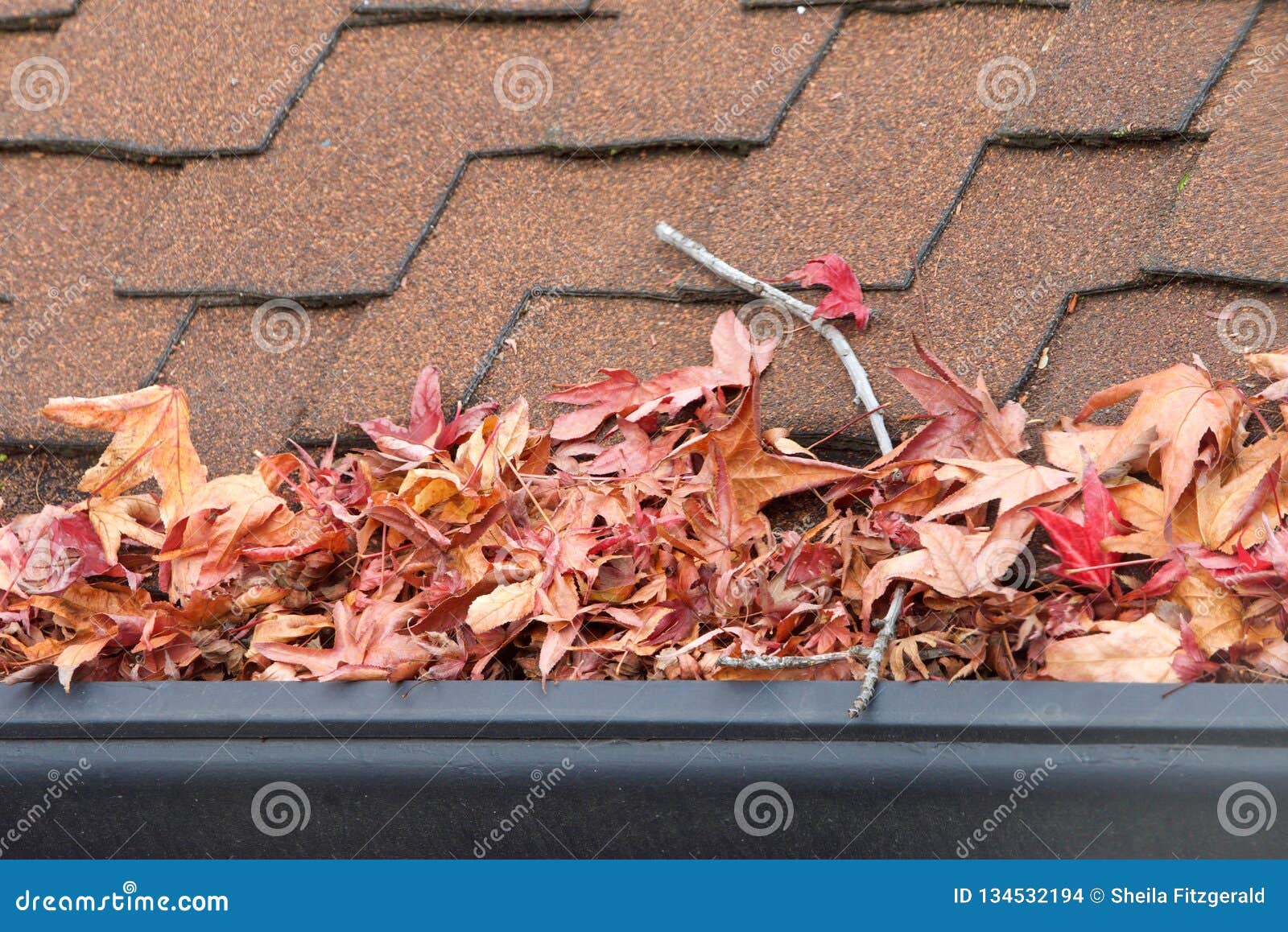 Close Up on Rain Gutter Clogged with Leaves and Debris Stock Photo ...