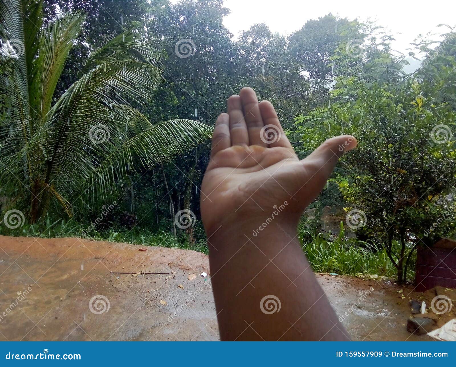 Rain on hand editorial stock image. Image of rain, beautiful - 159557909