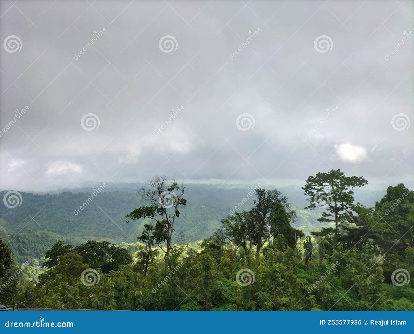 Before rain in hill track stock photo. Image of forest - 255577936