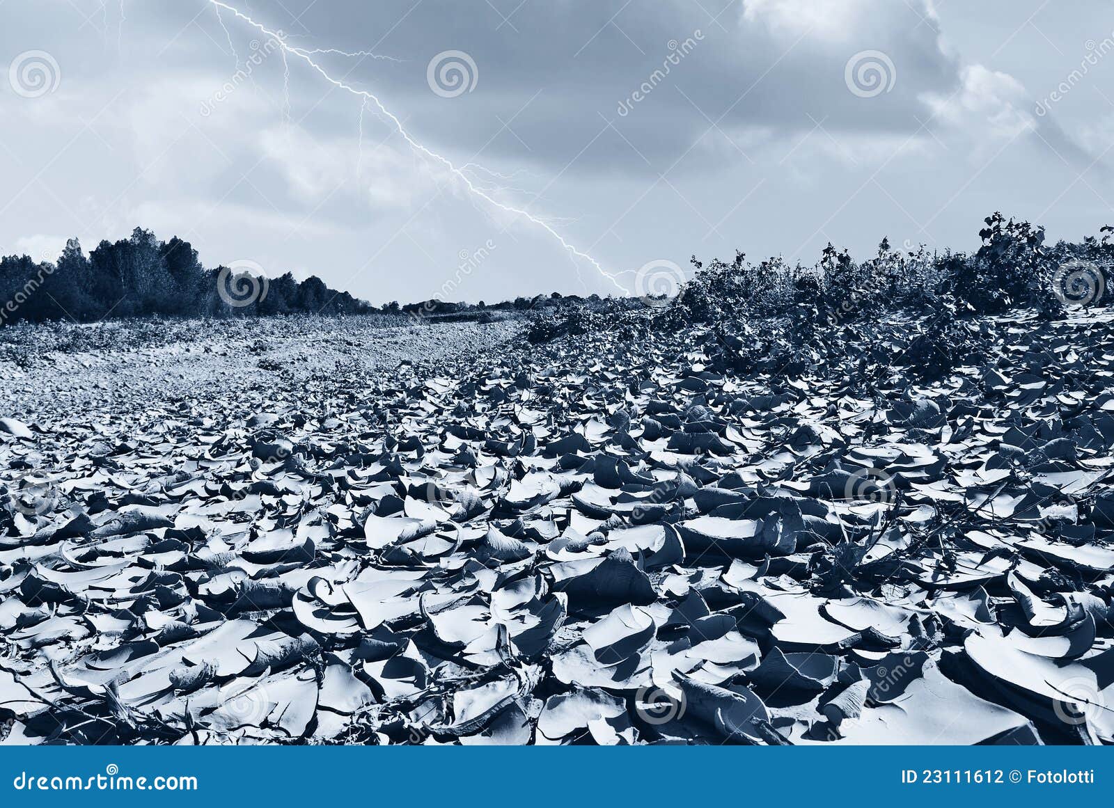 Rain Incoming on the Dry River Bed Stock Photo - Image of dryness ...