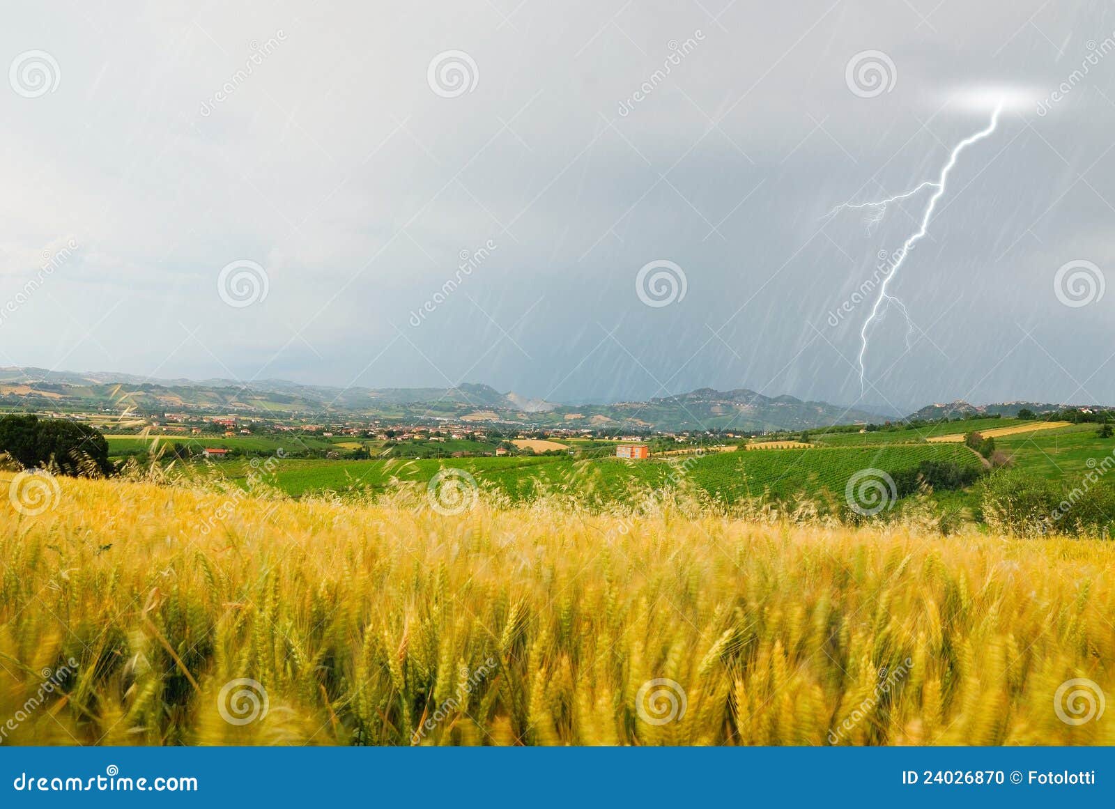 Rain Incoming Rain Incoming Over Grain Field Stock Photo - Image of ...