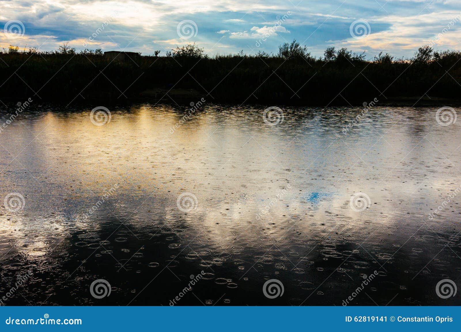 Rain on lake stock image. Image of shoreline, tree, trees - 62819141