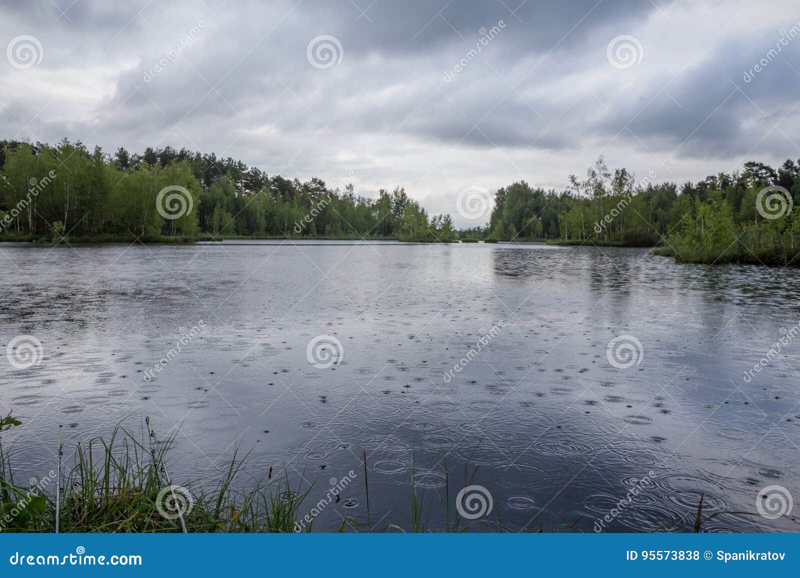 The rain on the lake stock photo. Image of moscow, birch - 95573838