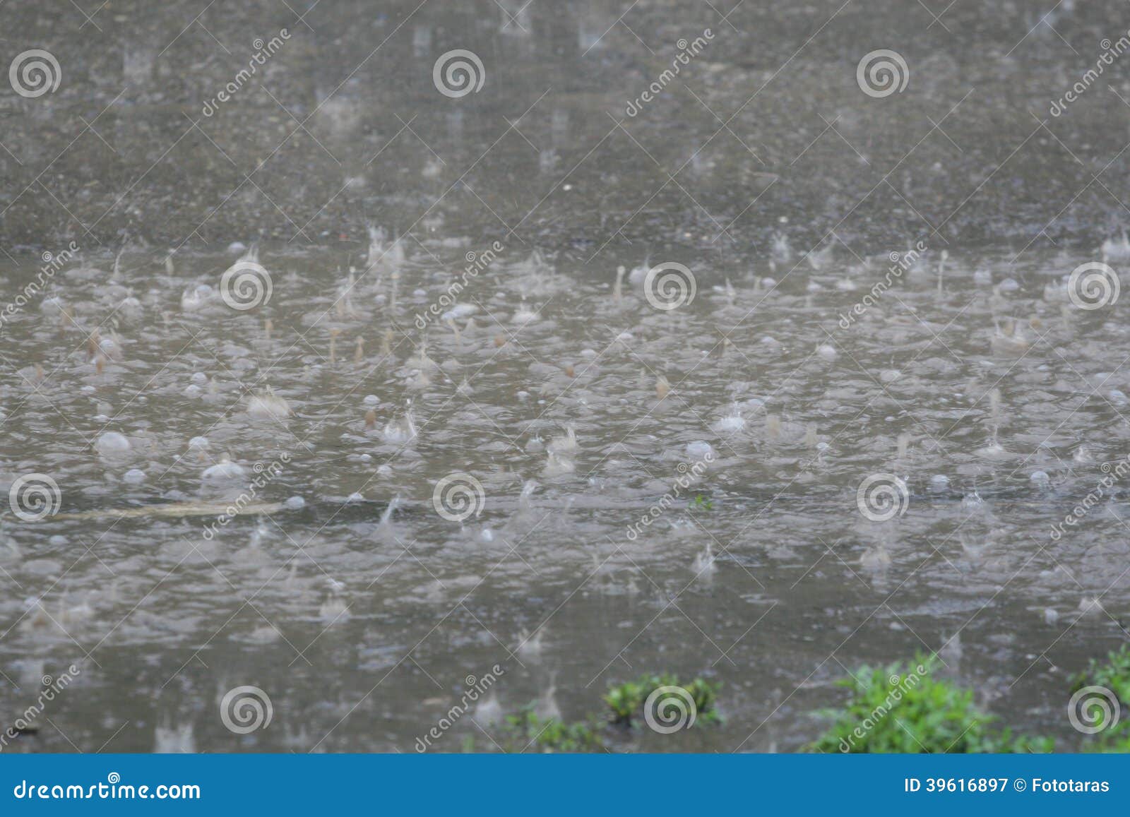 Rain stock image. Image of splash, dripping, reflective - 39616897