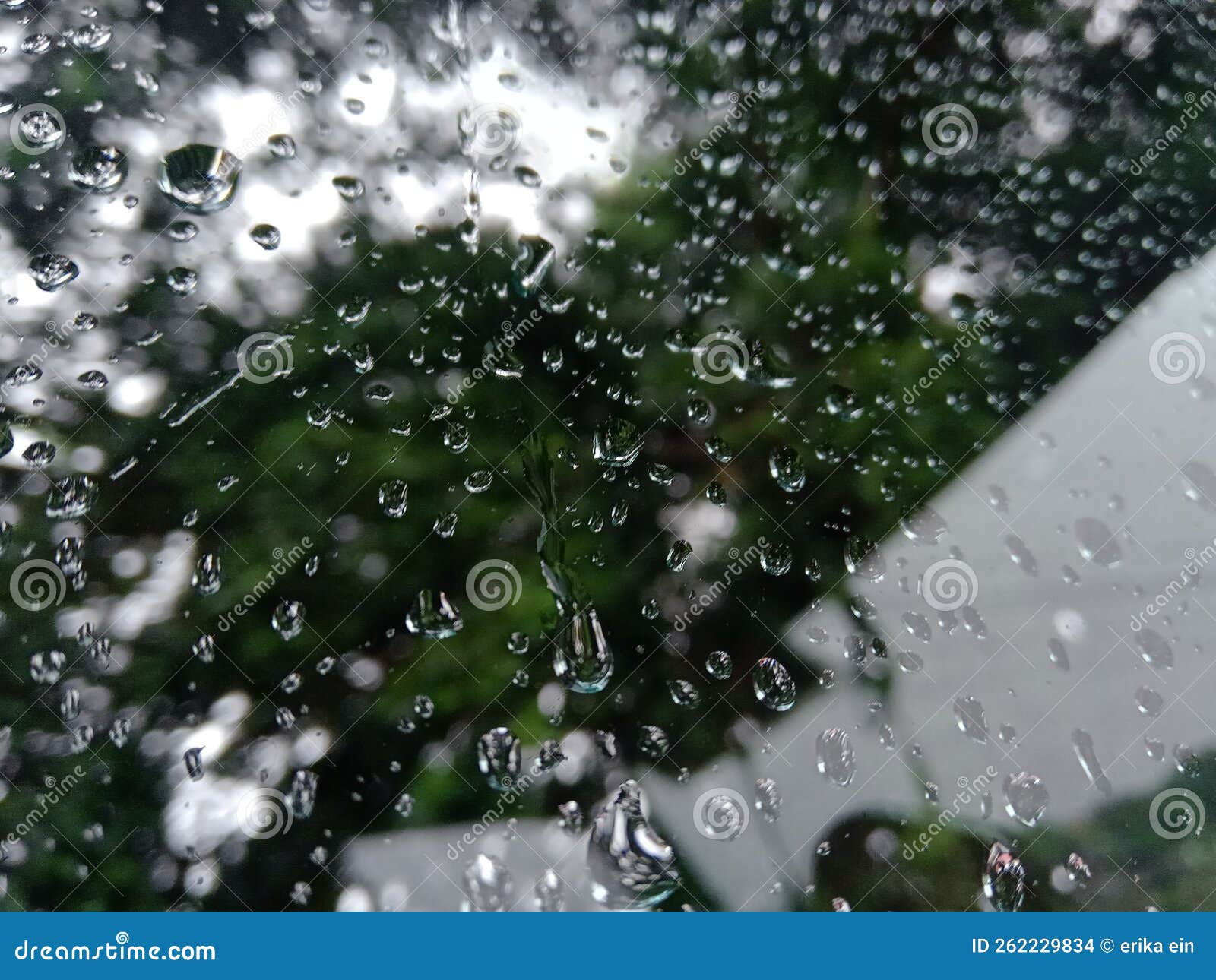 Rain like tears stock photo. Image of green, water, tears - 262229834