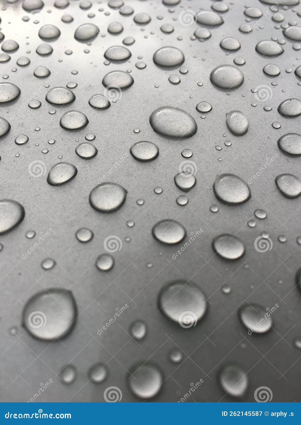 Dot water after rain stock image. Image of rain, water - 262145587