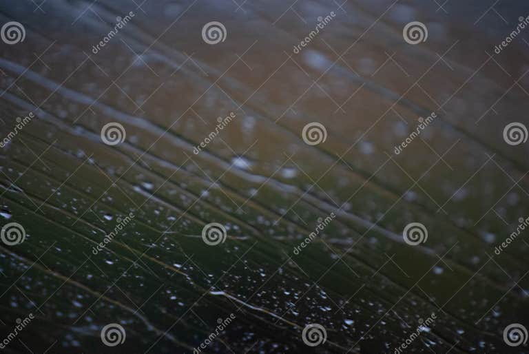 Rain marks stock image. Image of freshness, droplet - 234993479