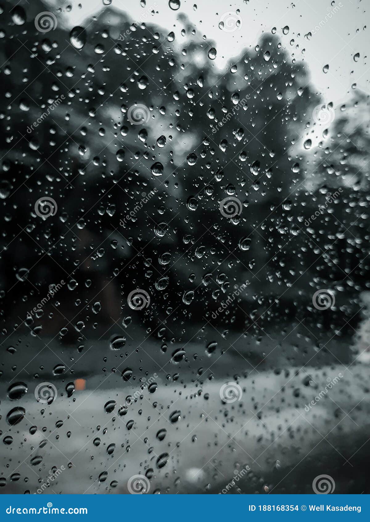 Rain and Mirror Photography Stock Photo - Image of embun, hujan: 188168354