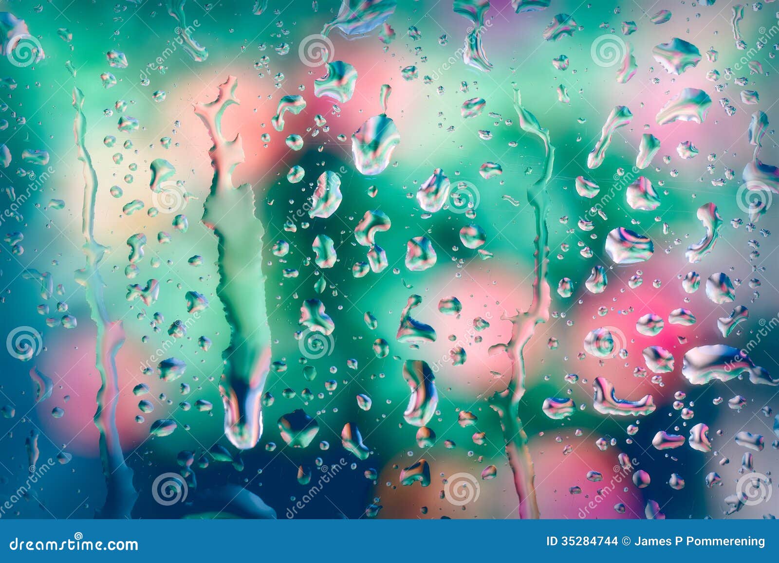 After Rain Flowers Window Frames