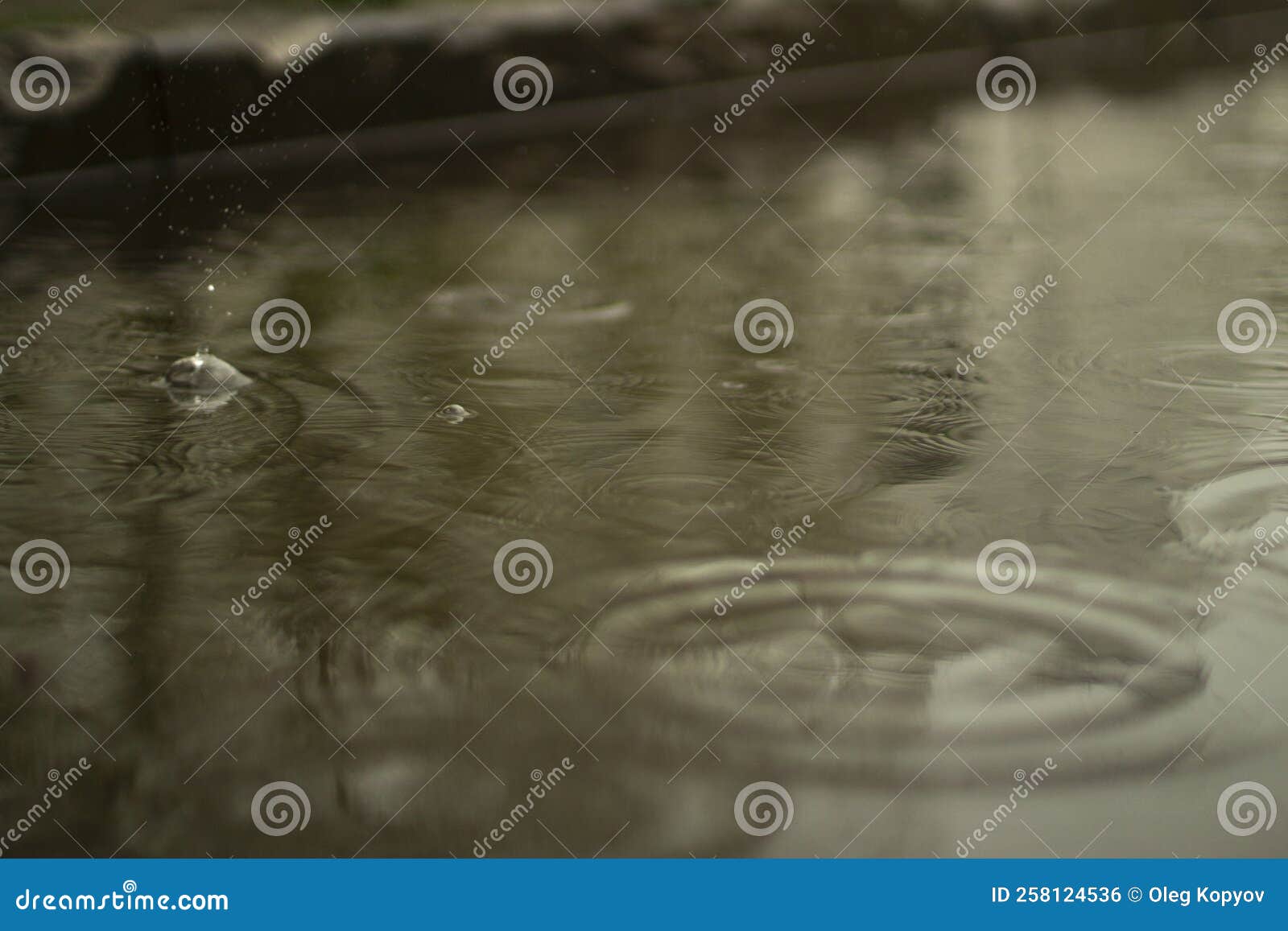 Rain Outside. Large Puddle in Yard. Wet Weather Stock Photo - Image of ...