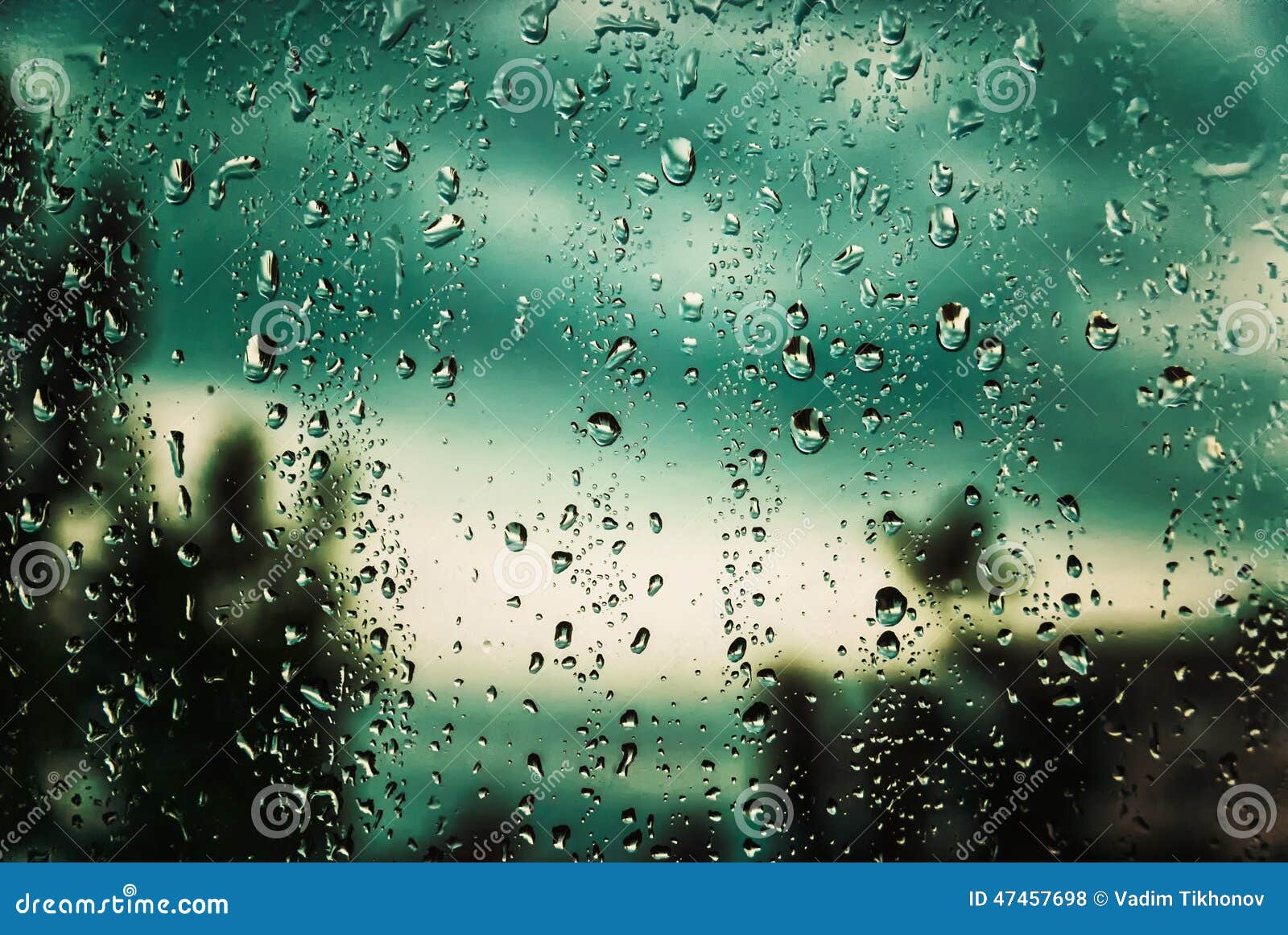 Rain outside the window stock photo. Image of nature - 47457698