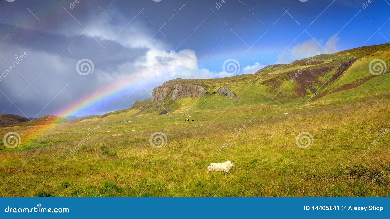 Rain over pasture stock image. Image of westfjords, clouds - 44405841