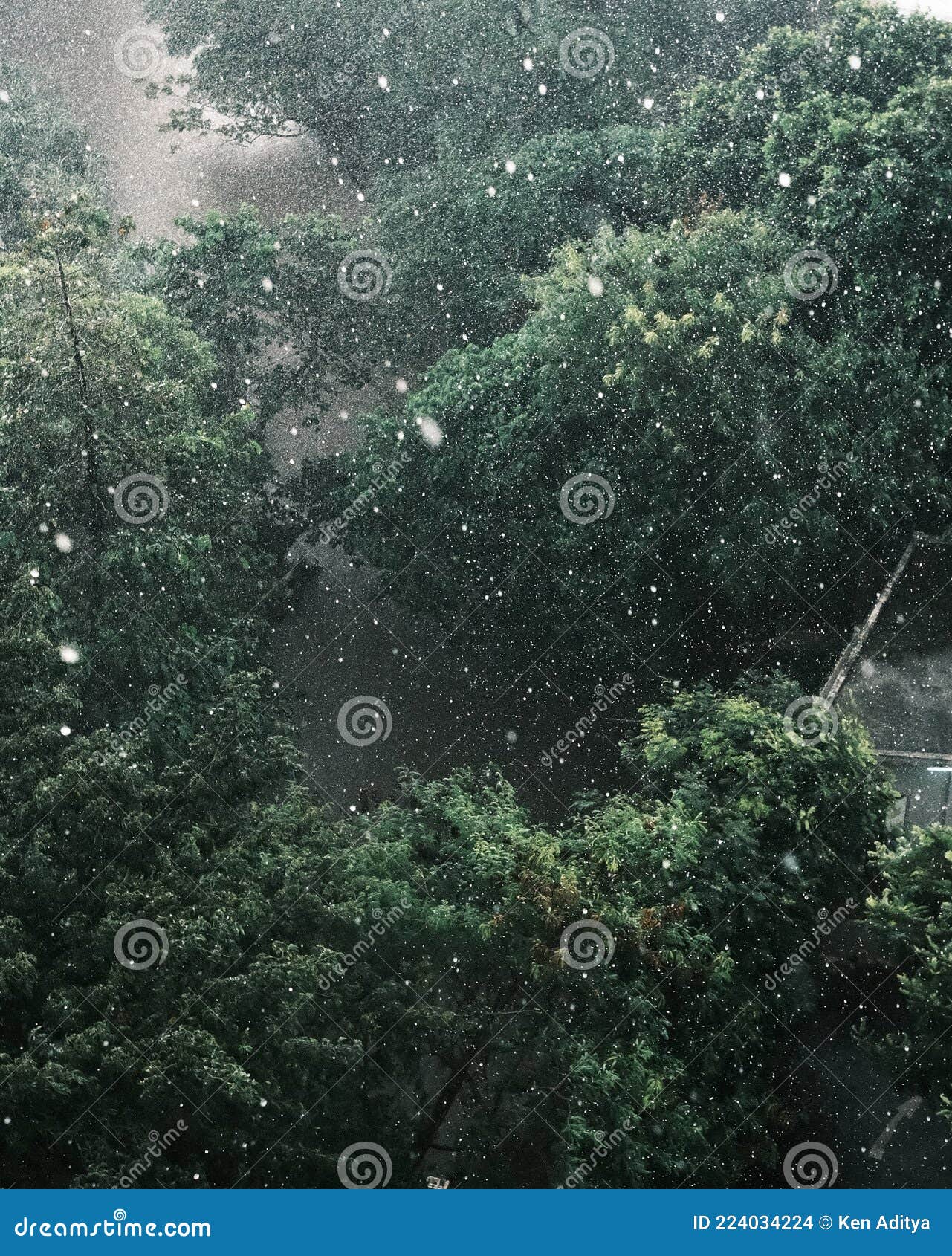 Rain over the river stock photo. Image of rain, petrichor - 224034224