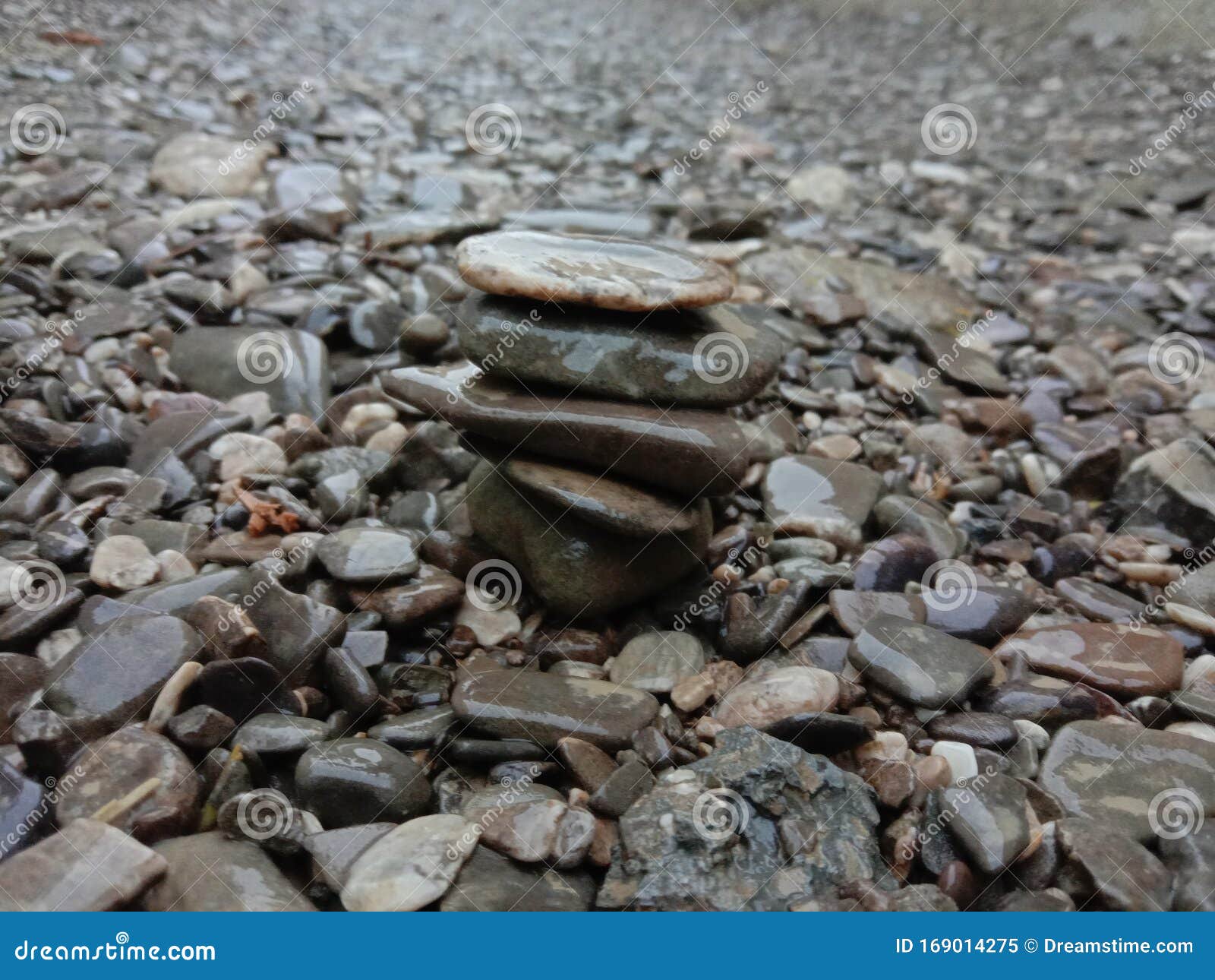 Rain stock image. Image of panjgur, balochistan, nature - 169014275