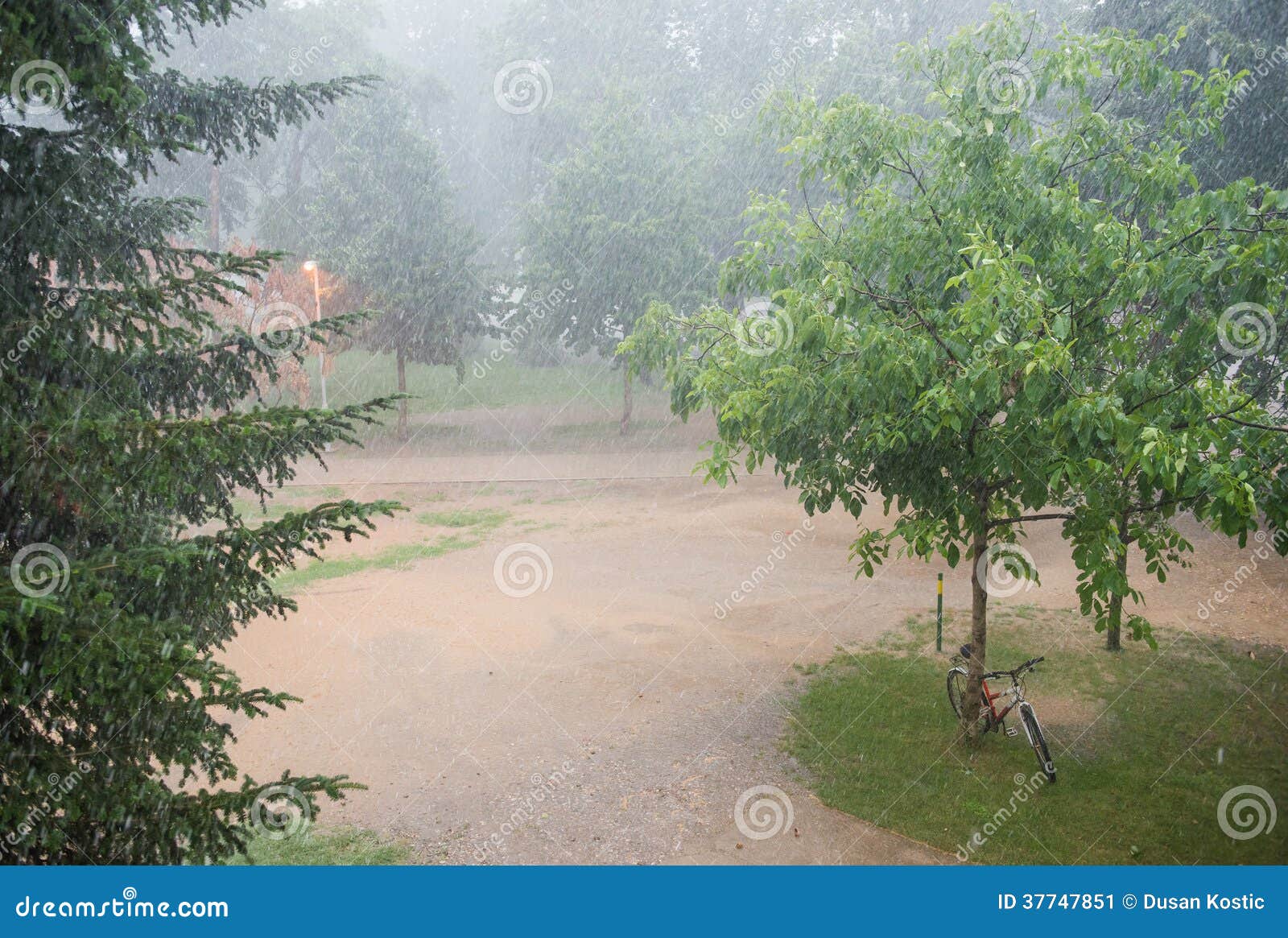 Rain in the park stock image. Image of soggy, rain, rustic - 37747851