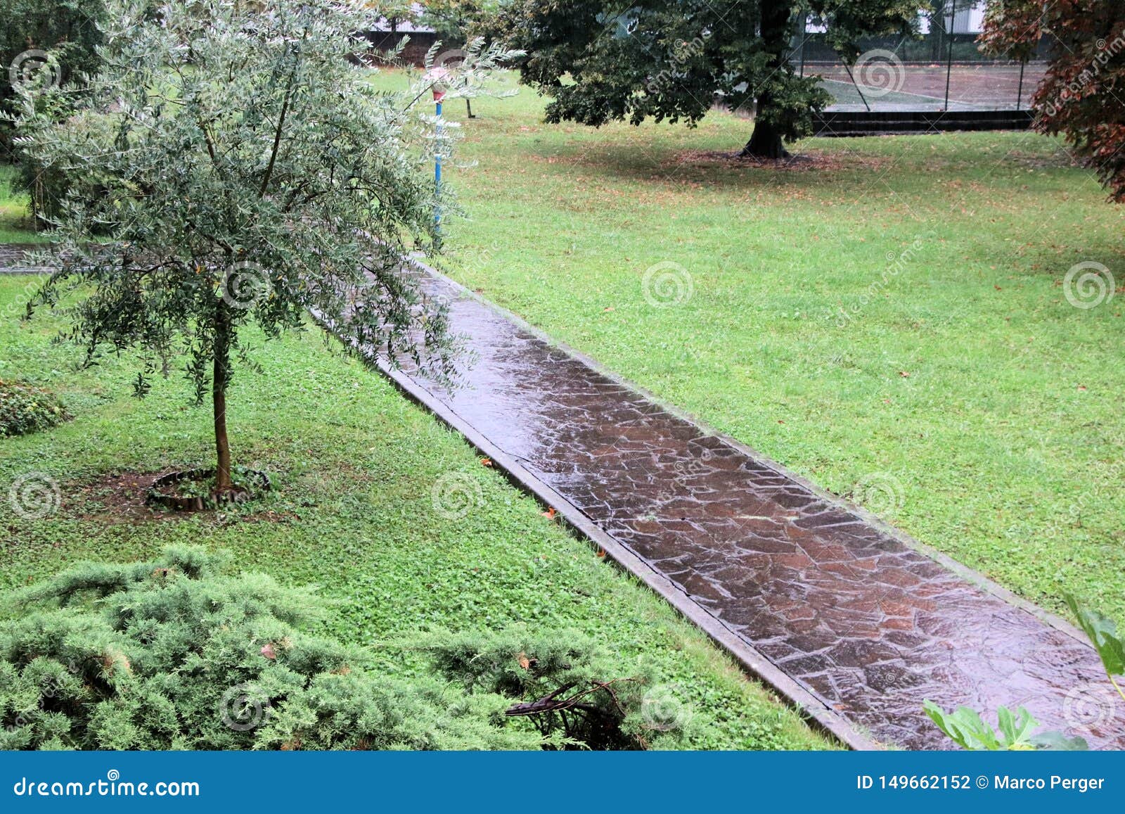 Rain in the park stock photo. Image of 1235000, life - 149662152