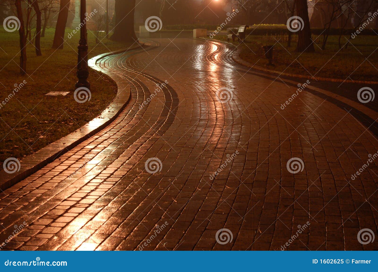 Rain in the Park at night stock image. Image of construct - 1602625