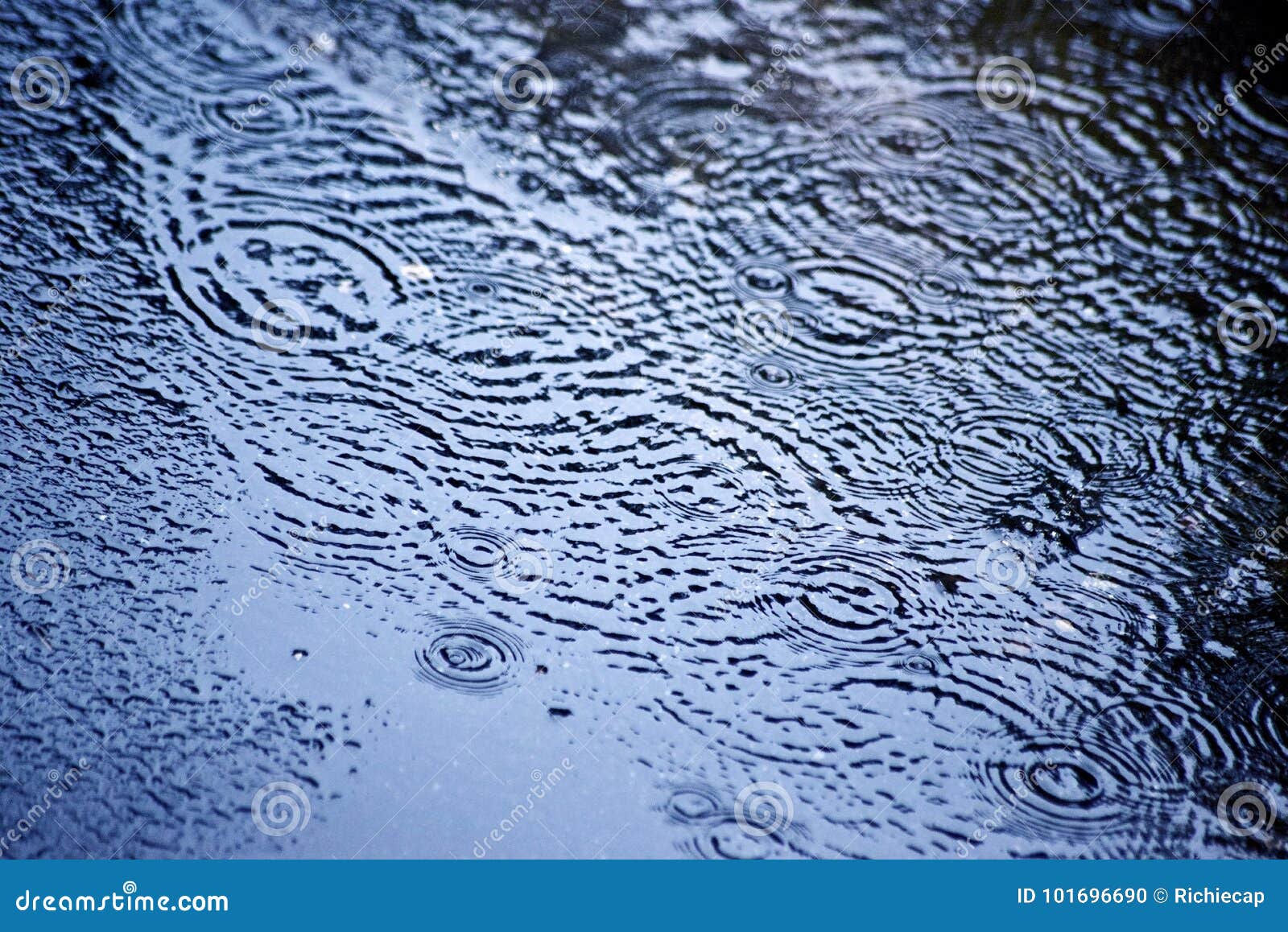 Rain on the path stock photo. Image of path, nature - 101696690