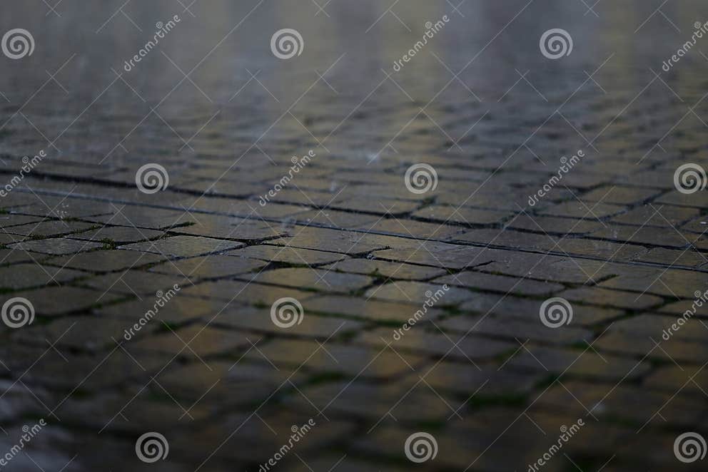 Rain on Pavement As a Close Up Stock Image - Image of outdoors, storm ...