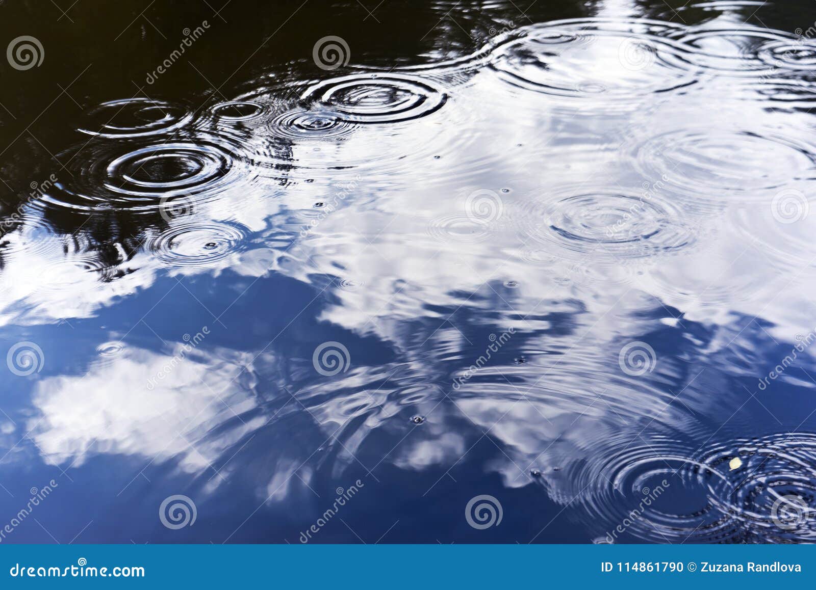 Rain, pond and summertime stock photo. Image of water - 114861790