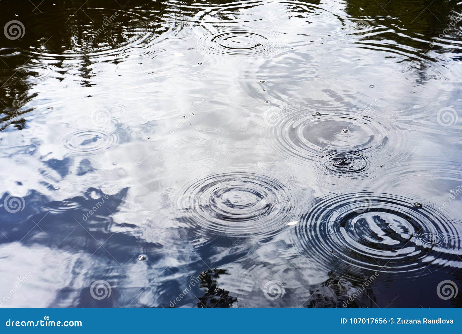 Rain, pond and summertime stock photo. Image of water - 107017656
