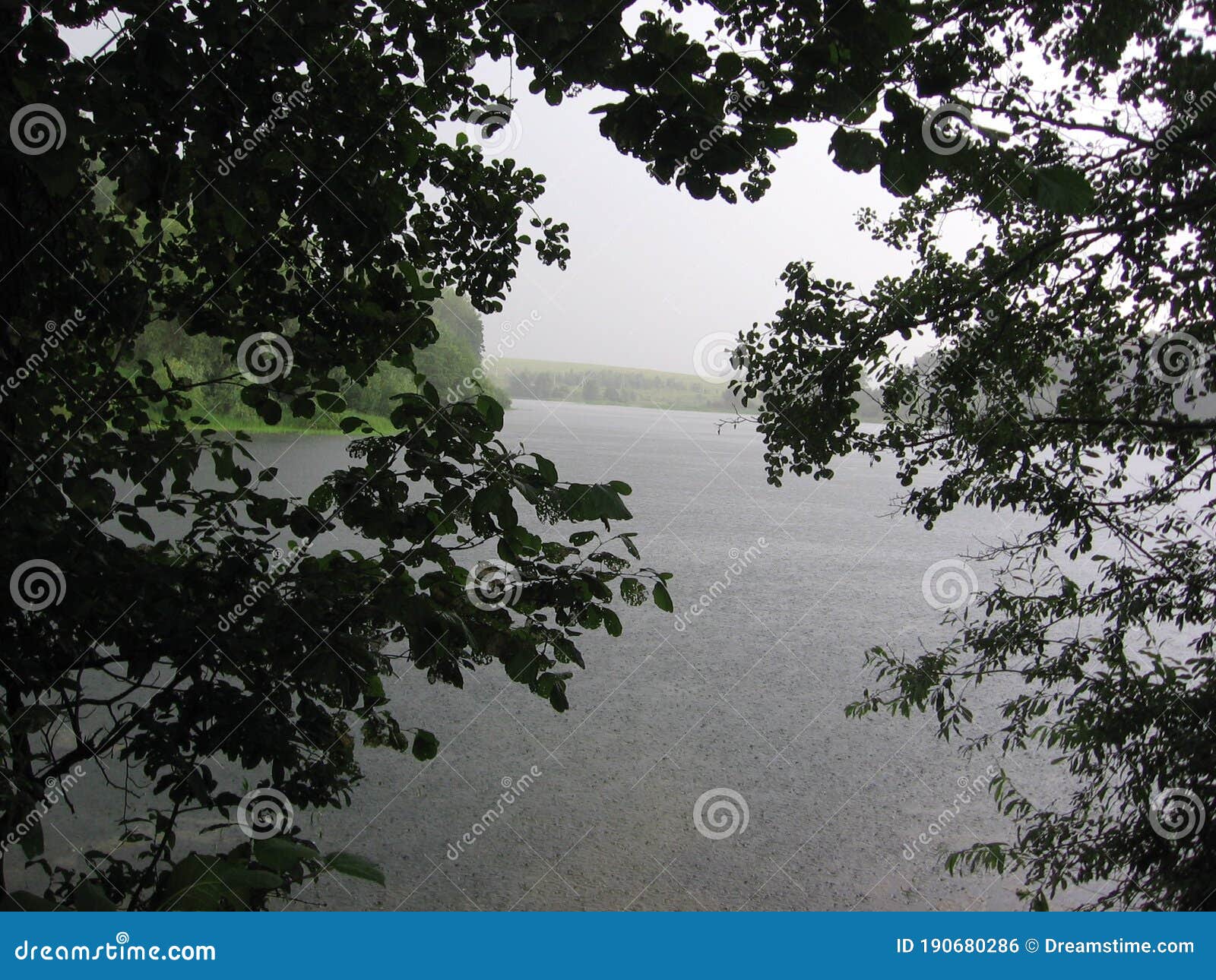 Rain is on a pond. stock photo. Image of view, summer - 190680286