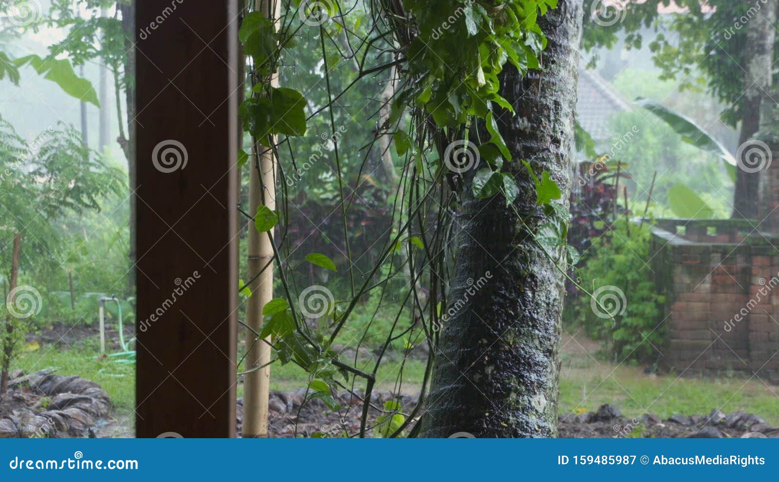 Rain Pouring Down in Backyard Garden Stock Video - Video of crops ...