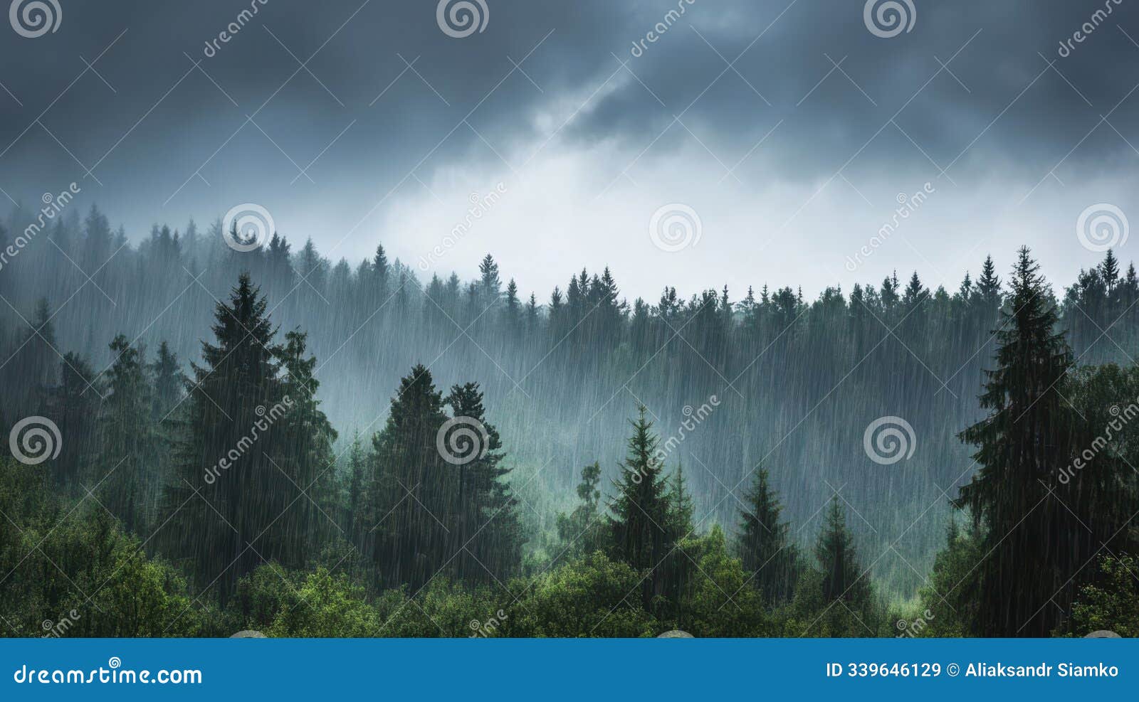 Rain Pouring Down on a Forest with Trees Bending in the Wind Under Dark ...