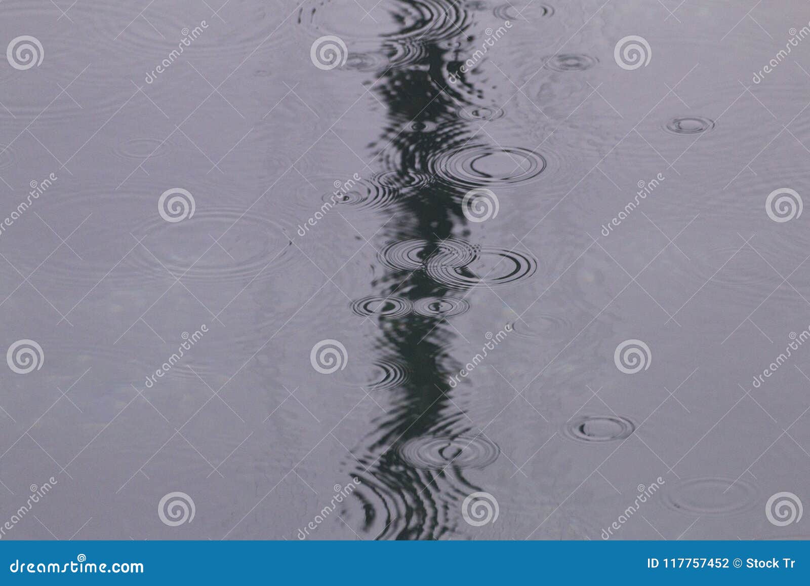 It`s raining on the lake stock photo. Image of environment - 117757452