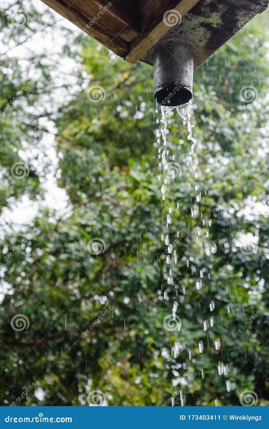 Rain Pouring Down from the Gutter. Stock Image - Image of flowing, rain ...