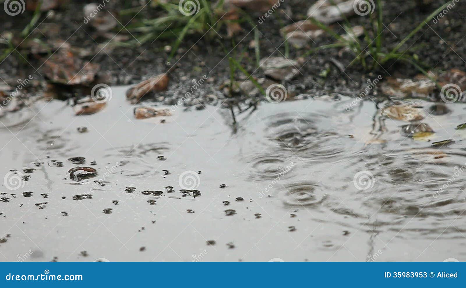 Rain Puddle Bubbles Stock Footage & Videos - 267 Stock Videos