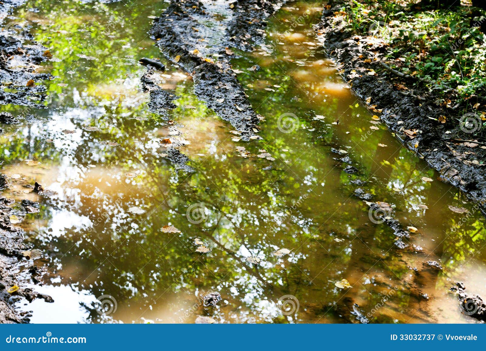 Rain Puddle in Deep Car Rut on Forest Road Stock Image - Image of ...