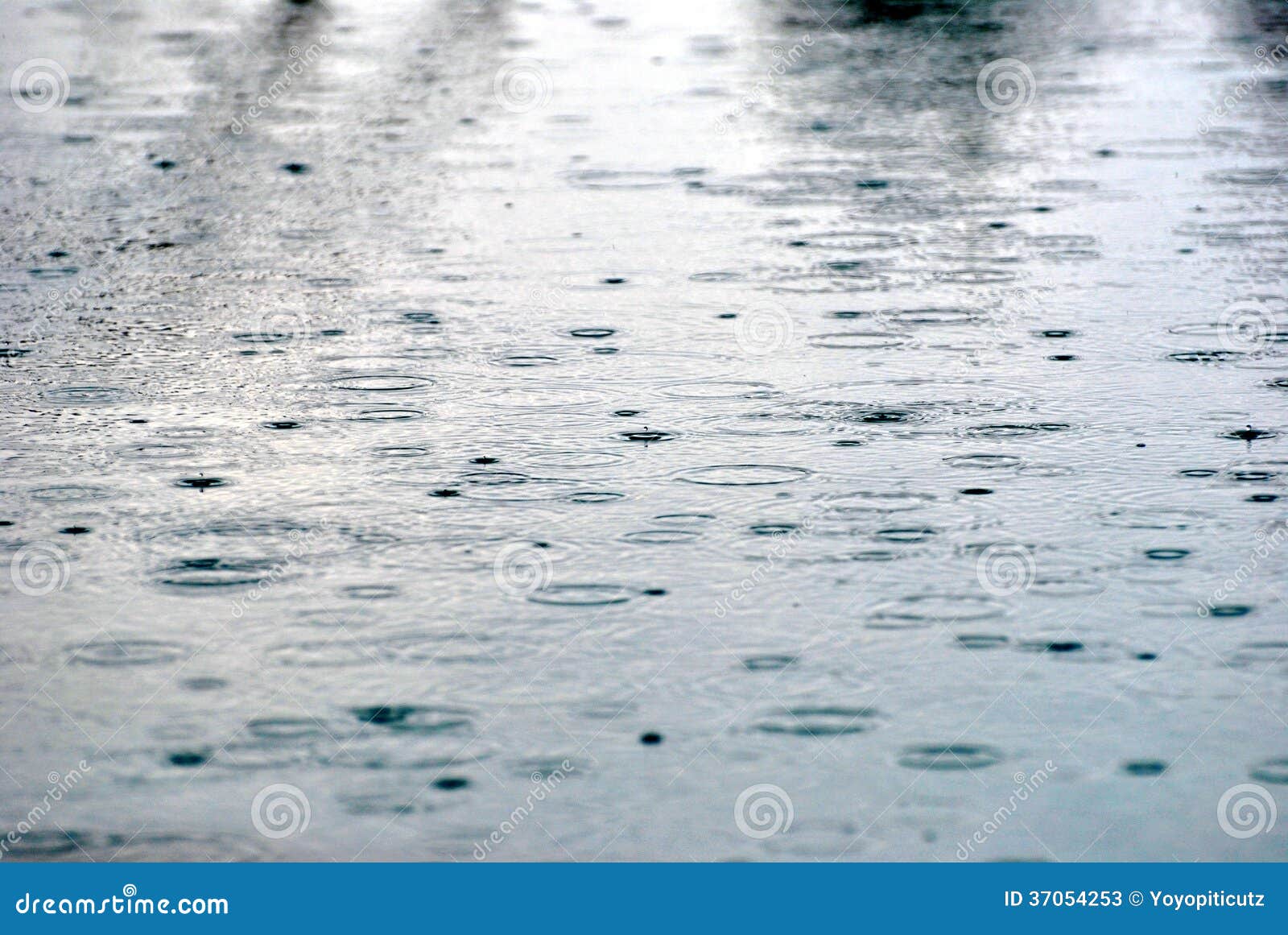 Rain puddle stock image. Image of purity, abstract, drops - 37054253