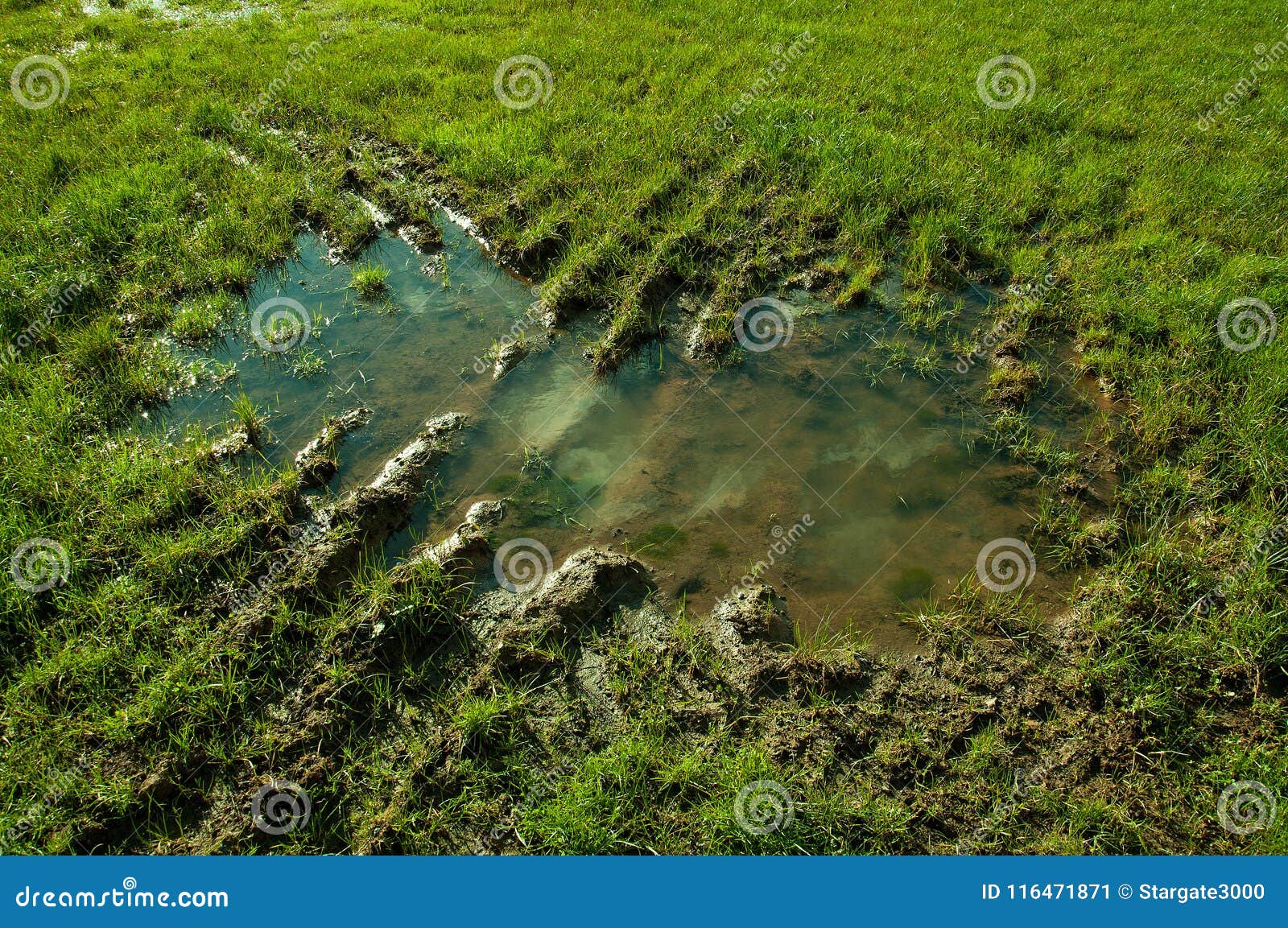 Rain Puddle in a Field in the British Countryside. Stock Image - Image ...