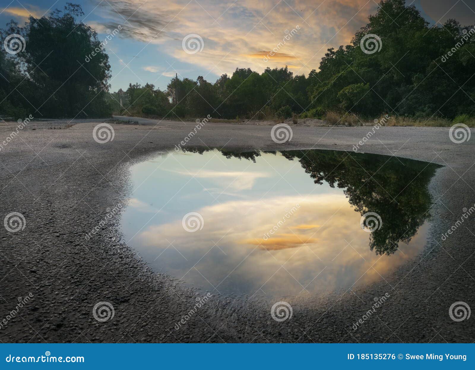 Twilight Puddle On The Asphalt Rain Reflection Of Light In The Waves ...