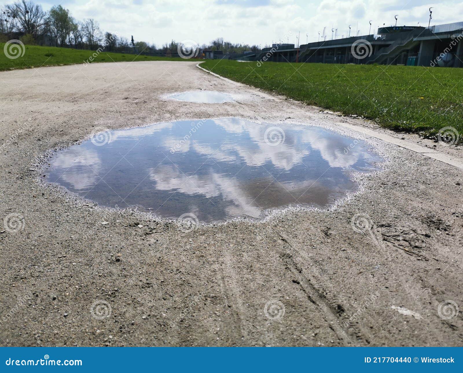 Rain Puddle on the Road Surrounded by Greenery and Buildings Under the ...