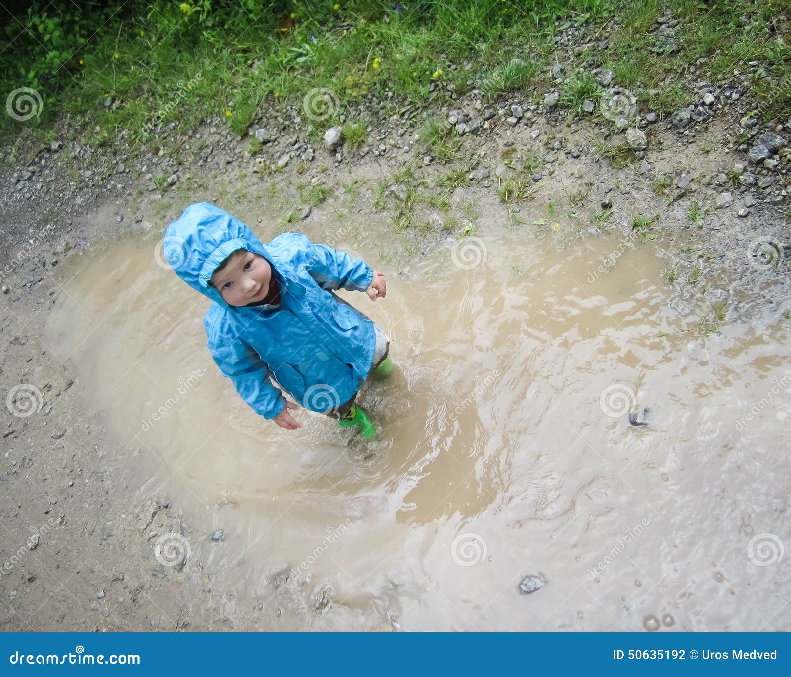Rain puddles stock photo. Image of earth, rain, nature - 50635192