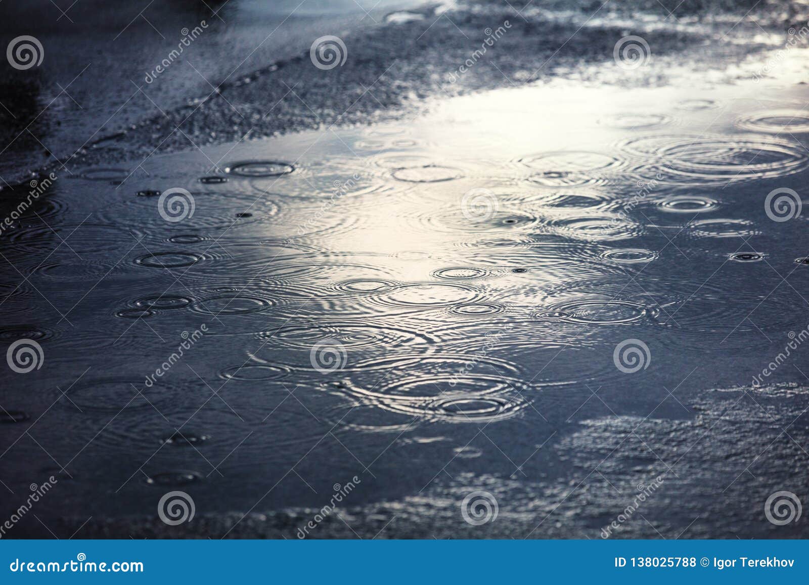 Rain Puddles on a Pavement in City Stock Photo - Image of asphalt ...