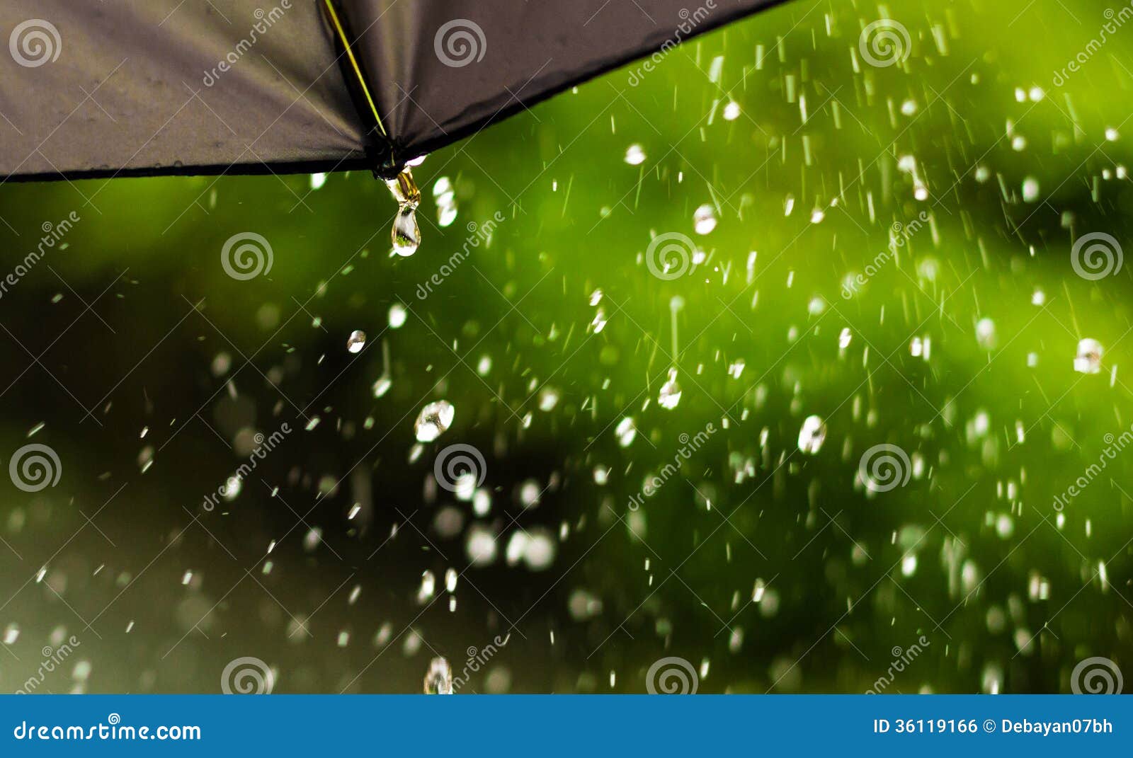 Rain Ra!n... stock photo. Image of rain, drop, pure, peace - 36119166