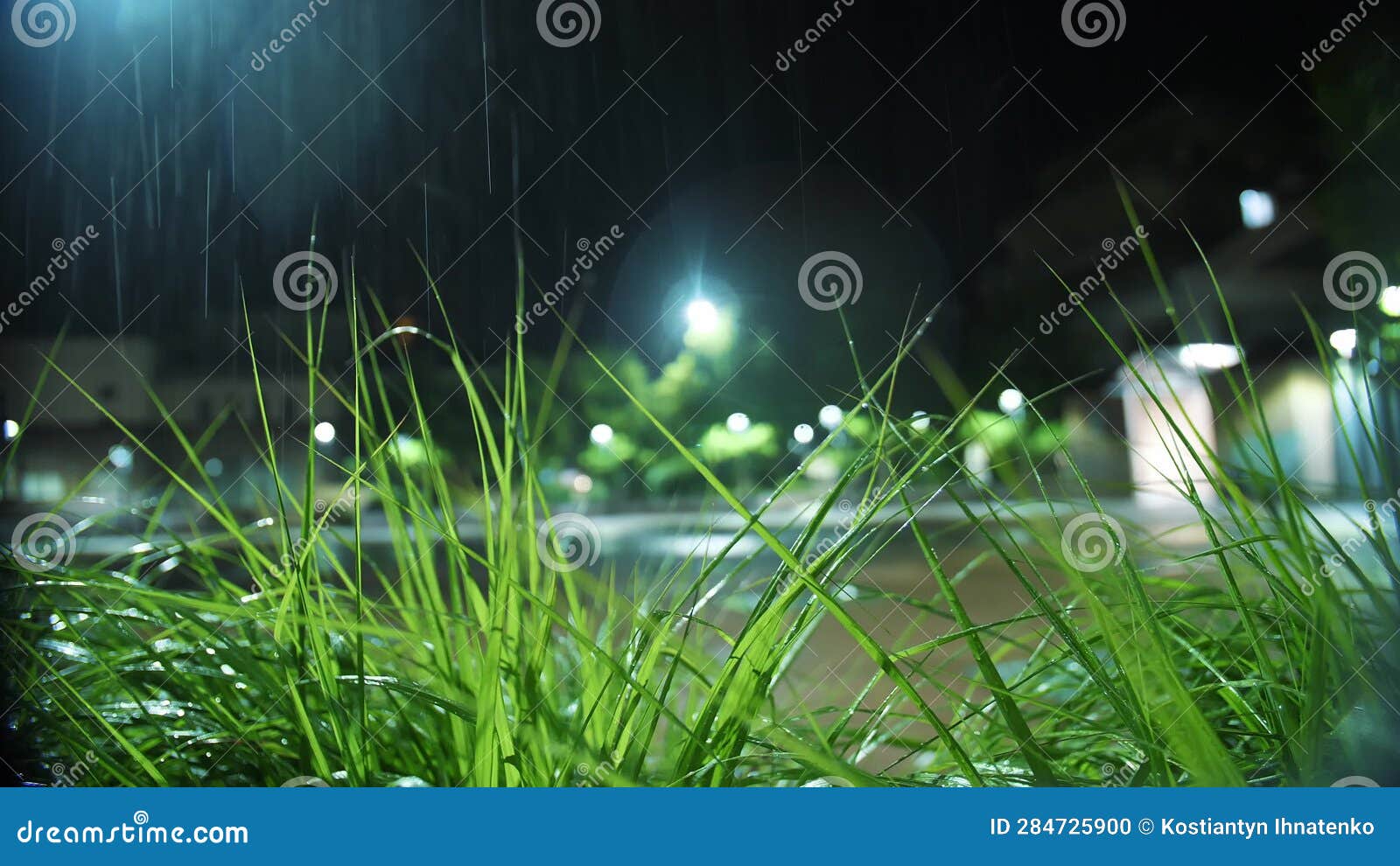 Rain. Puddle of Water. City at Night. Rain Drop with Street Lights ...