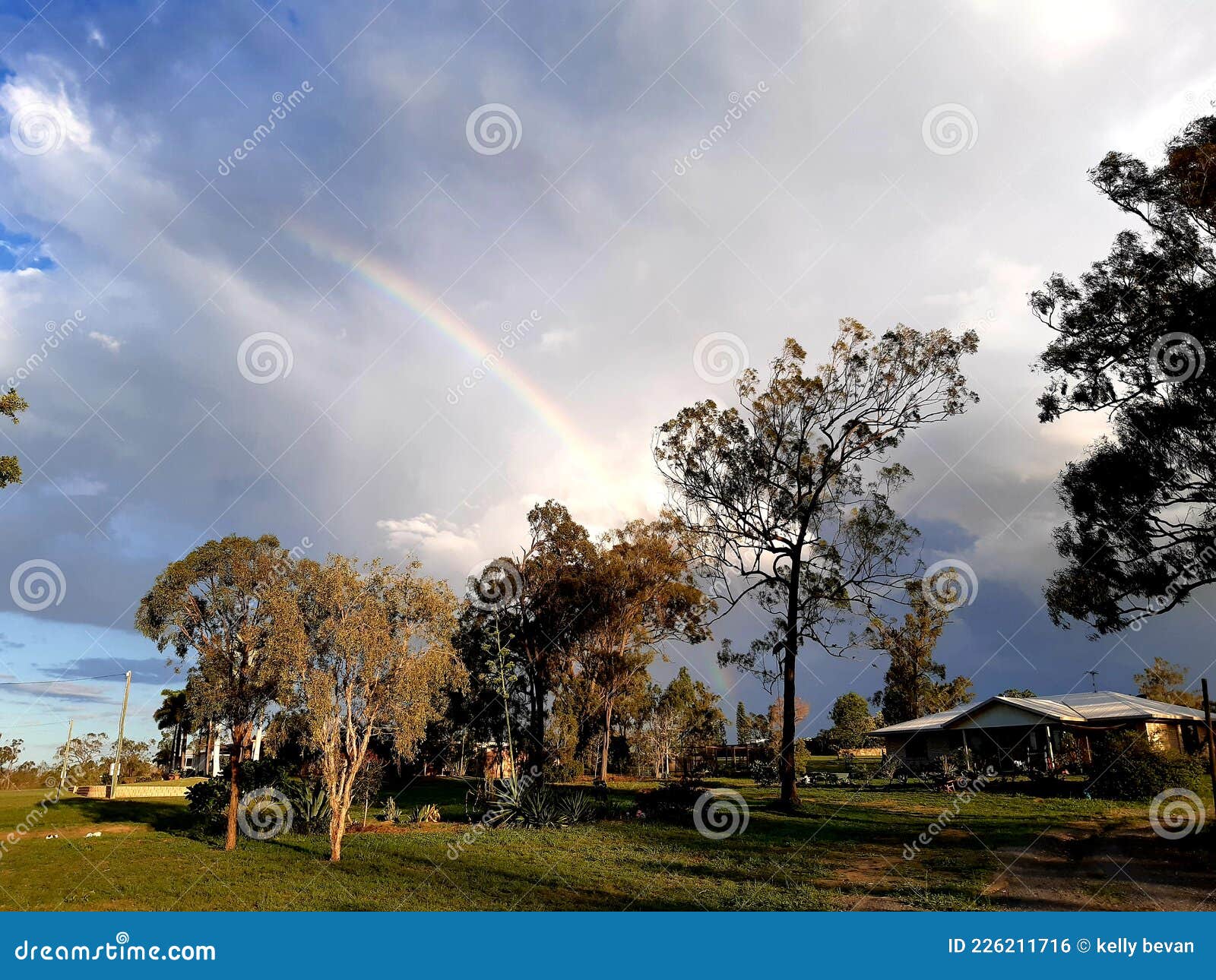 Rain rainbow greenery stock photo. Image of green, field - 226211716