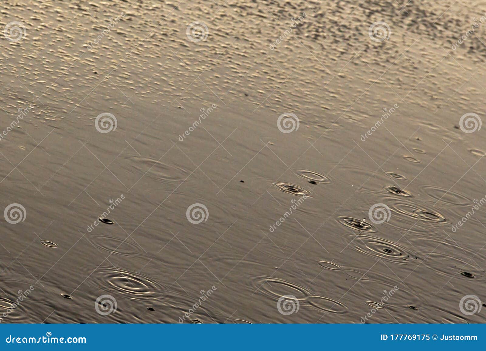 Pavement Spray Painted Sign Showing Two Blue Feet Marks Inside A Circle ...