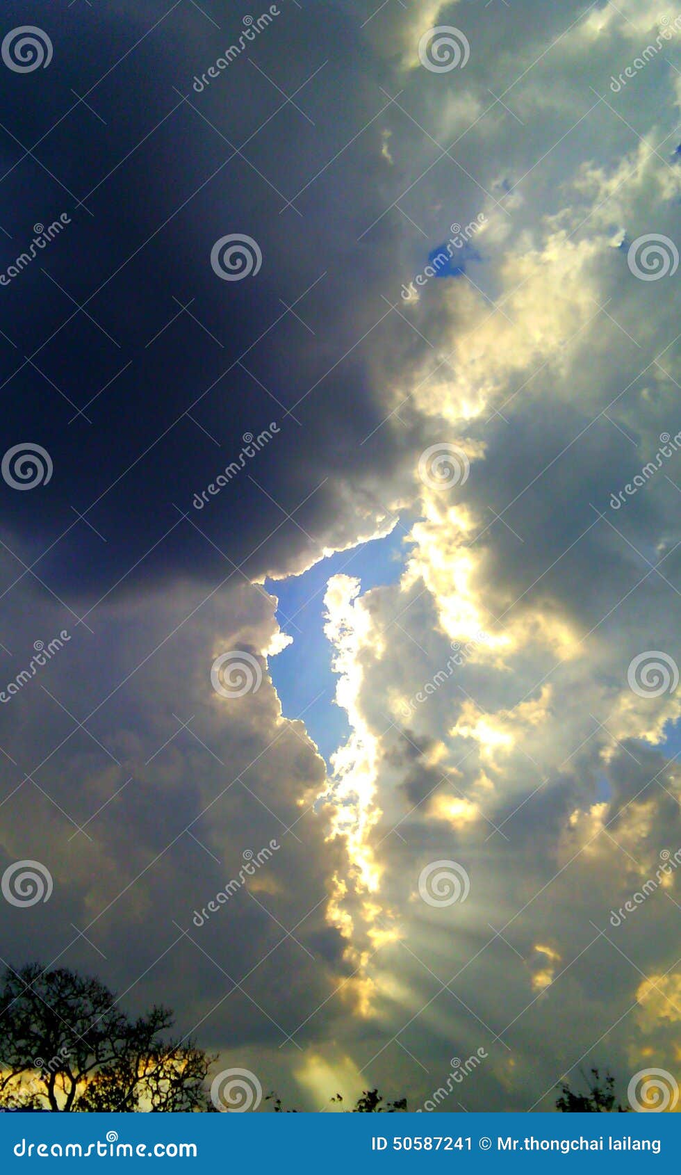Rain editorial photo. Image of cloud, raining, tree, rain - 50587241