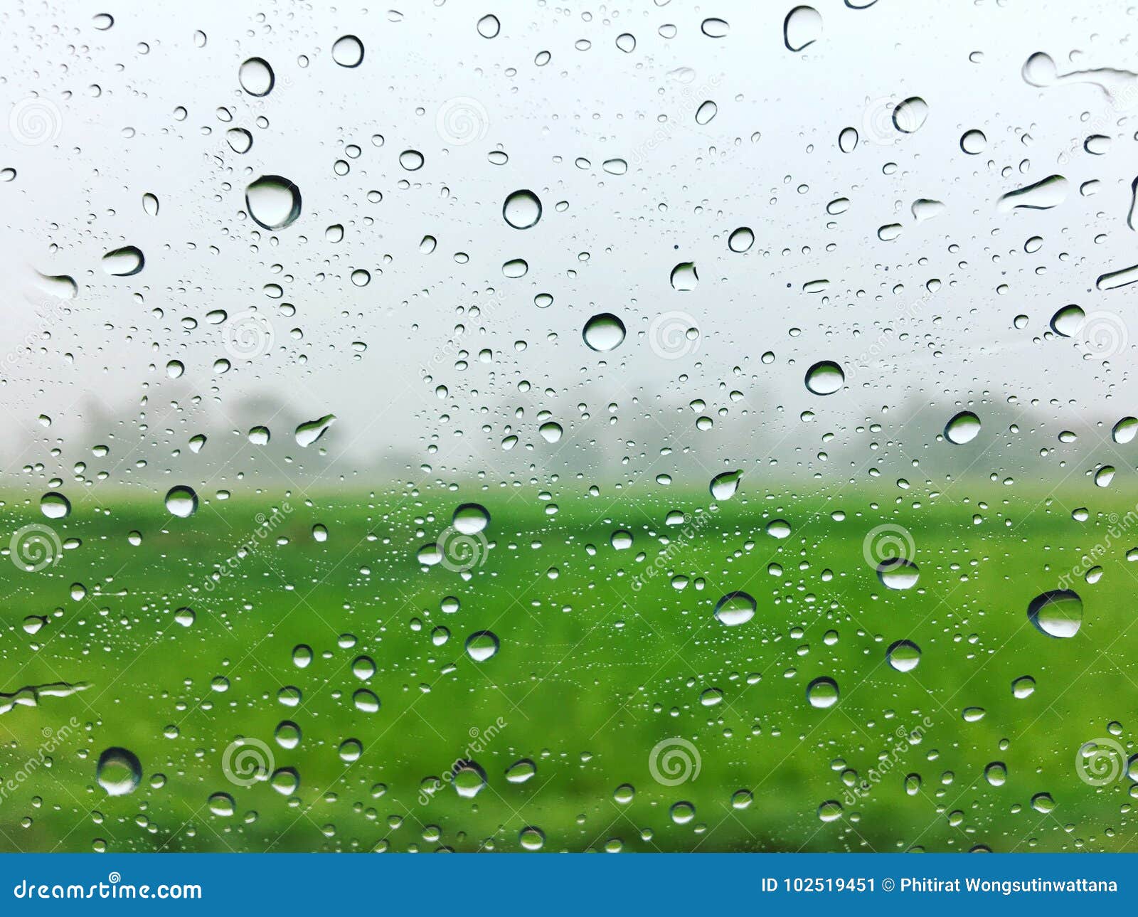 Rain stock image. Image of rain, green, lonely, rainning - 102519451
