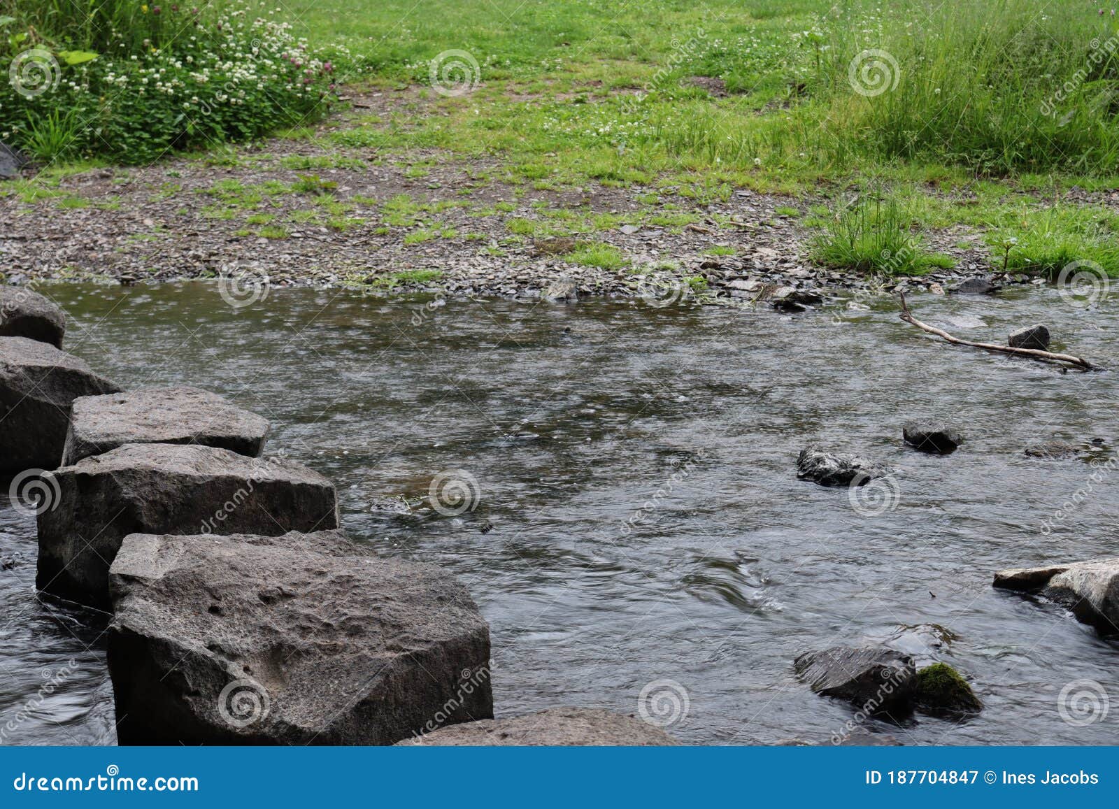 Raindrops on a river stock image. Image of landscape - 187704847