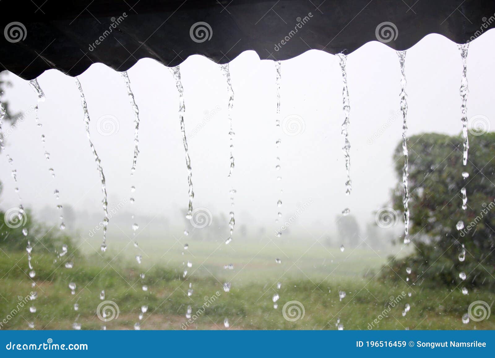 Raining on Roof Home, Rain Drops Fall Continuously Stock Image - Image ...